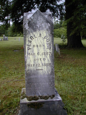 Pine Grove Cemetery - Westville